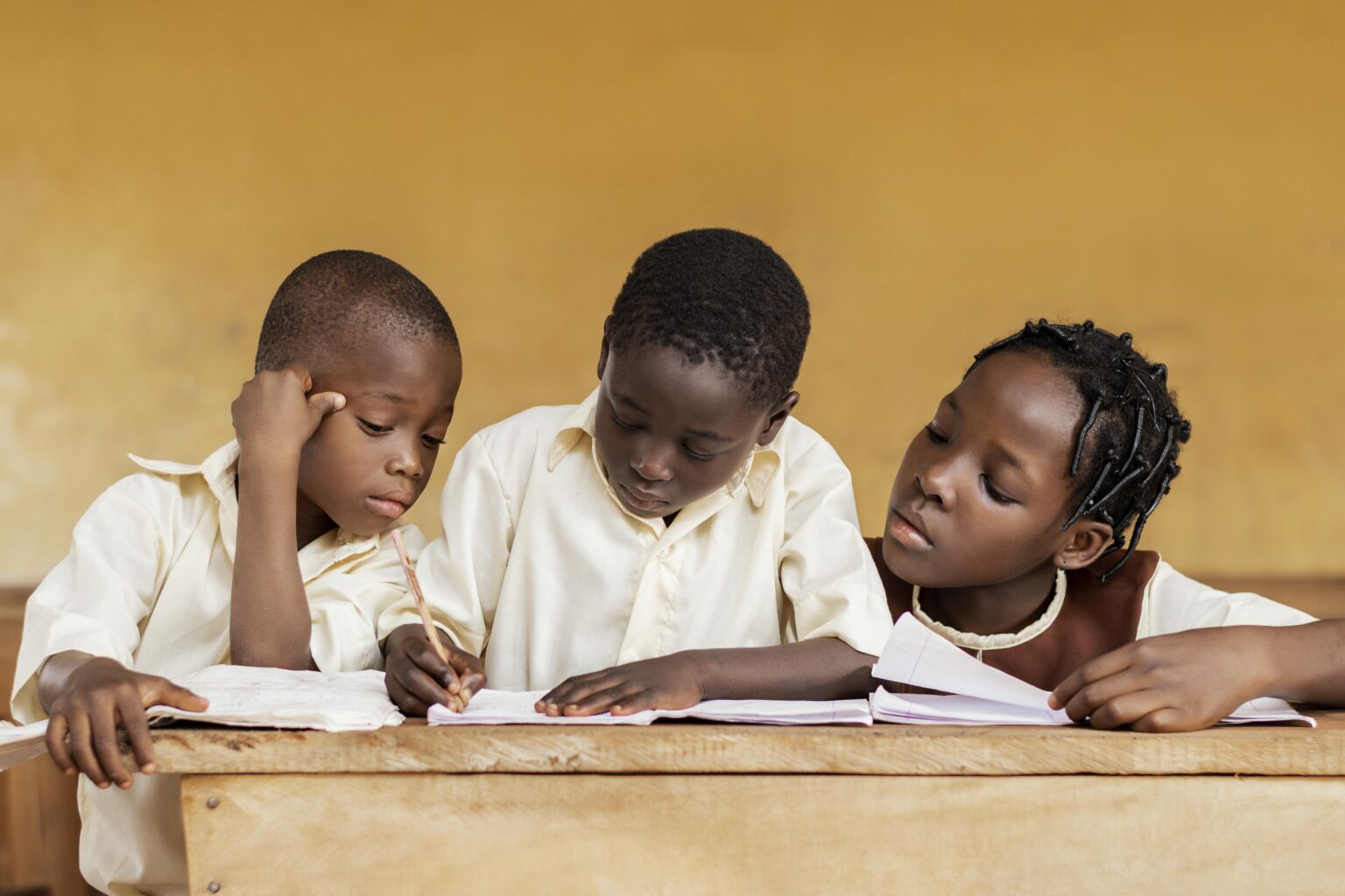 How Did They Get Here? A Lecturer’s Lament on Nigeria’s Academic ...